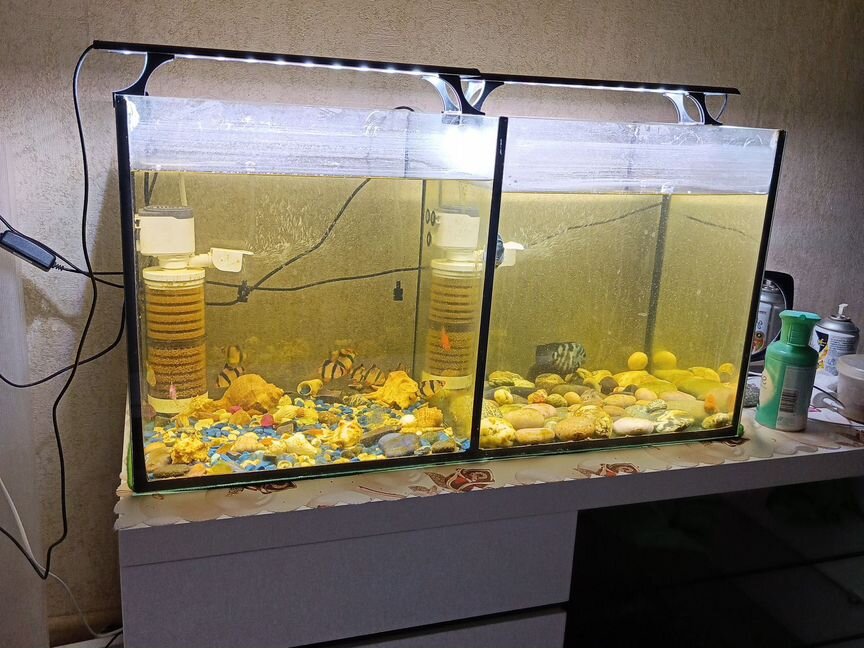 Аквариум с рыбками бу
