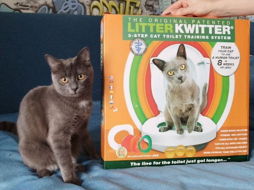 Горшок для приучения к унитазу