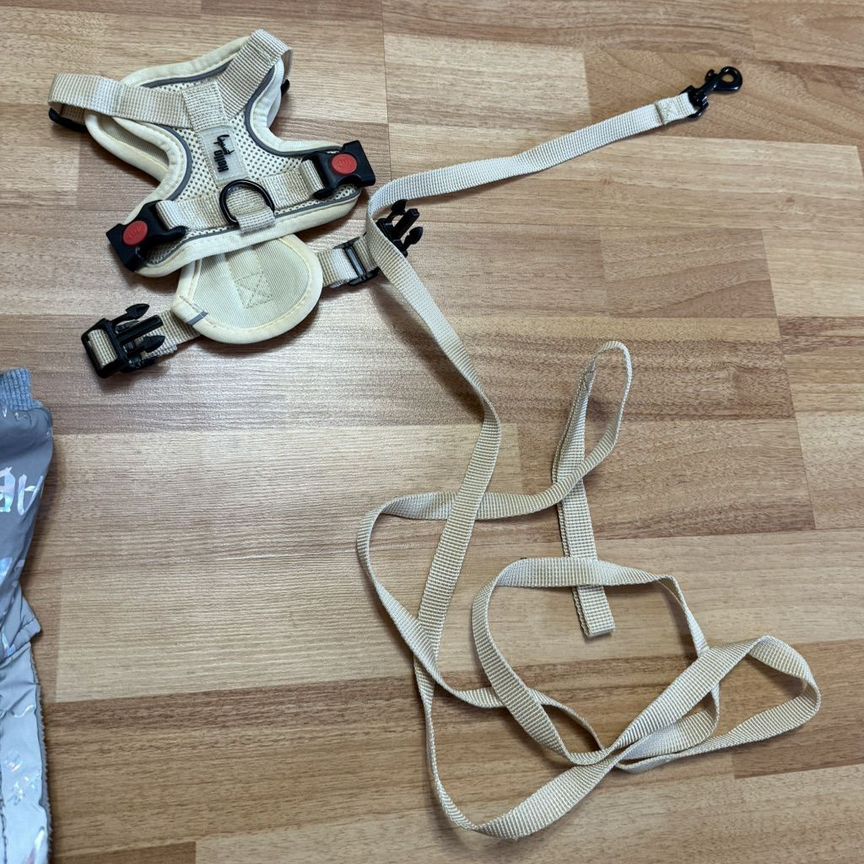 Шлейка для щенка мелкой породы