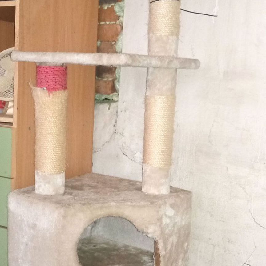 Когтеточка домик для кошки бу