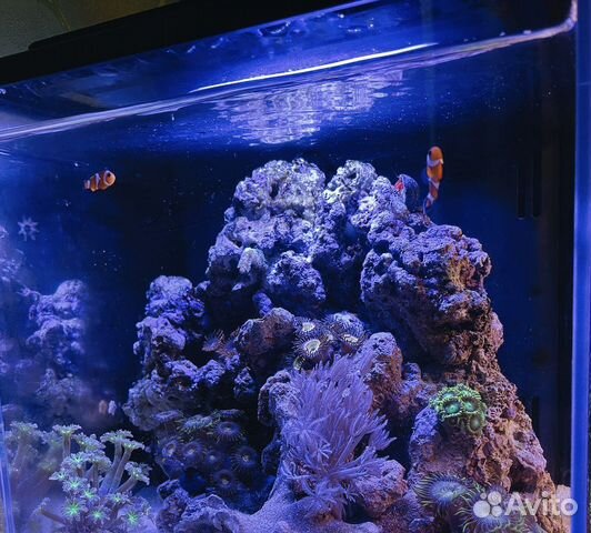 Морской аквариум умный OceanWisper