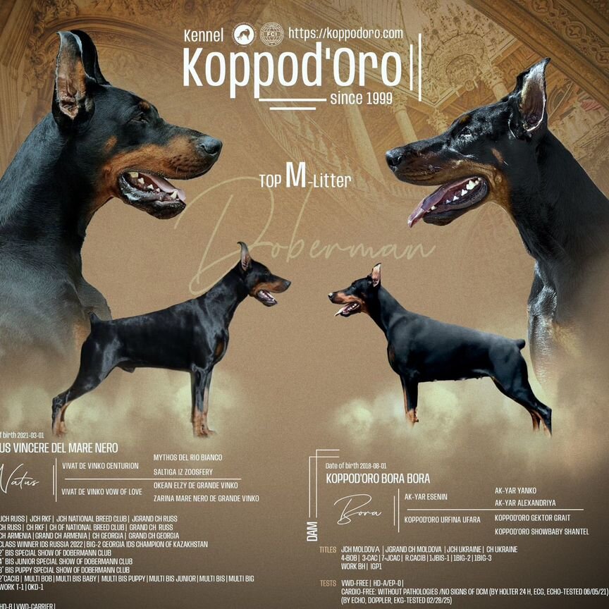 Щенки добермана РКФ fci питомник Koppod'Oro