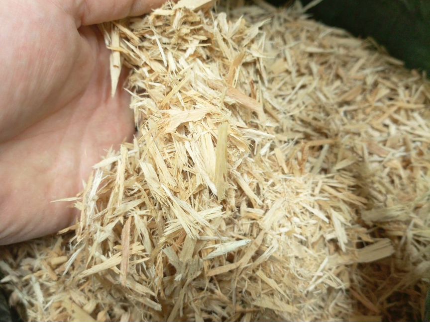 Опилки буковые