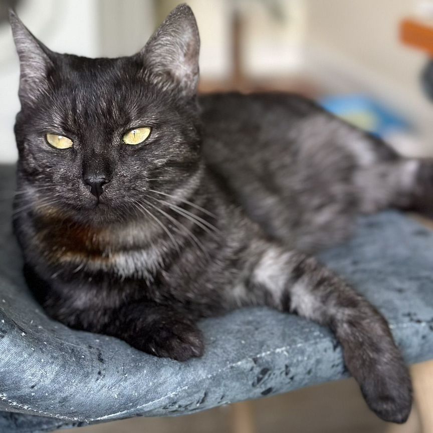 Гаечка в самые заботливые руки