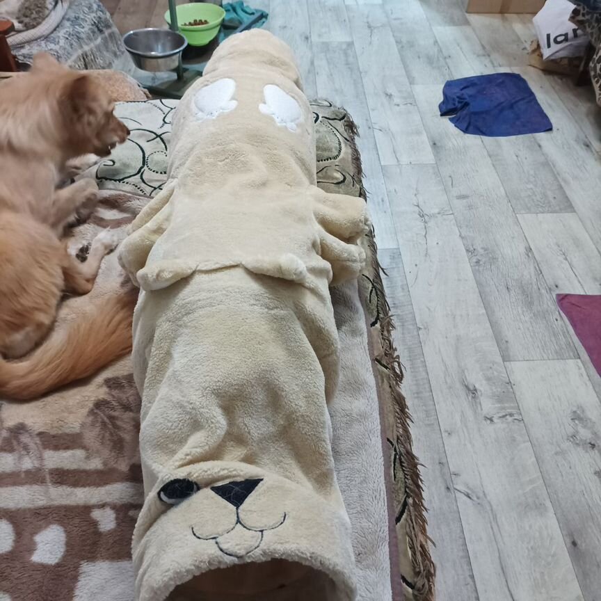 Тунель для кошки