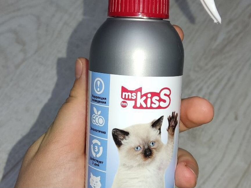 Приучают котенка к лотку и к когтеточке