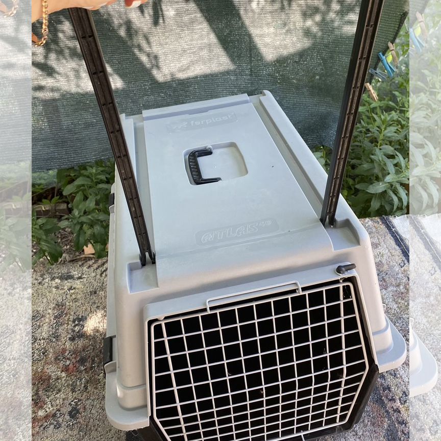 Бокс для перевозки собак