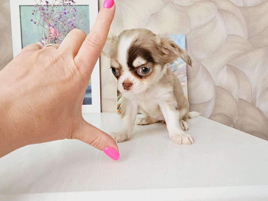 Нереальная красотка