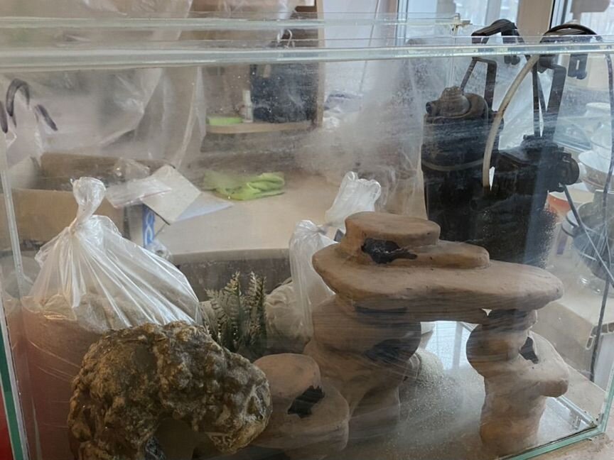 Аквариум на 40 литров