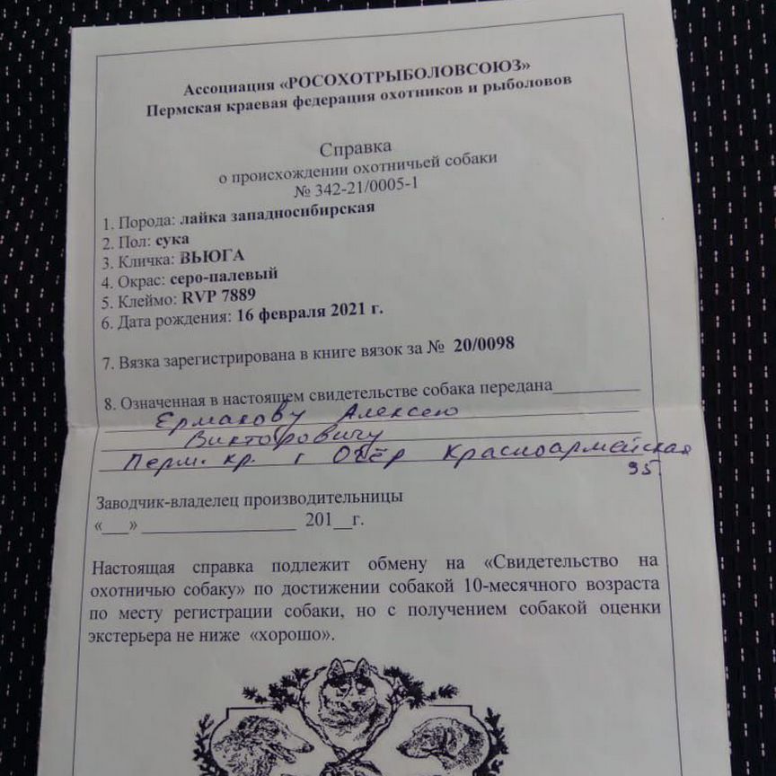 Западно сибирская лайка