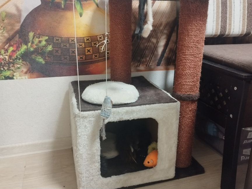 Домик для кошки с когтеточкой бу