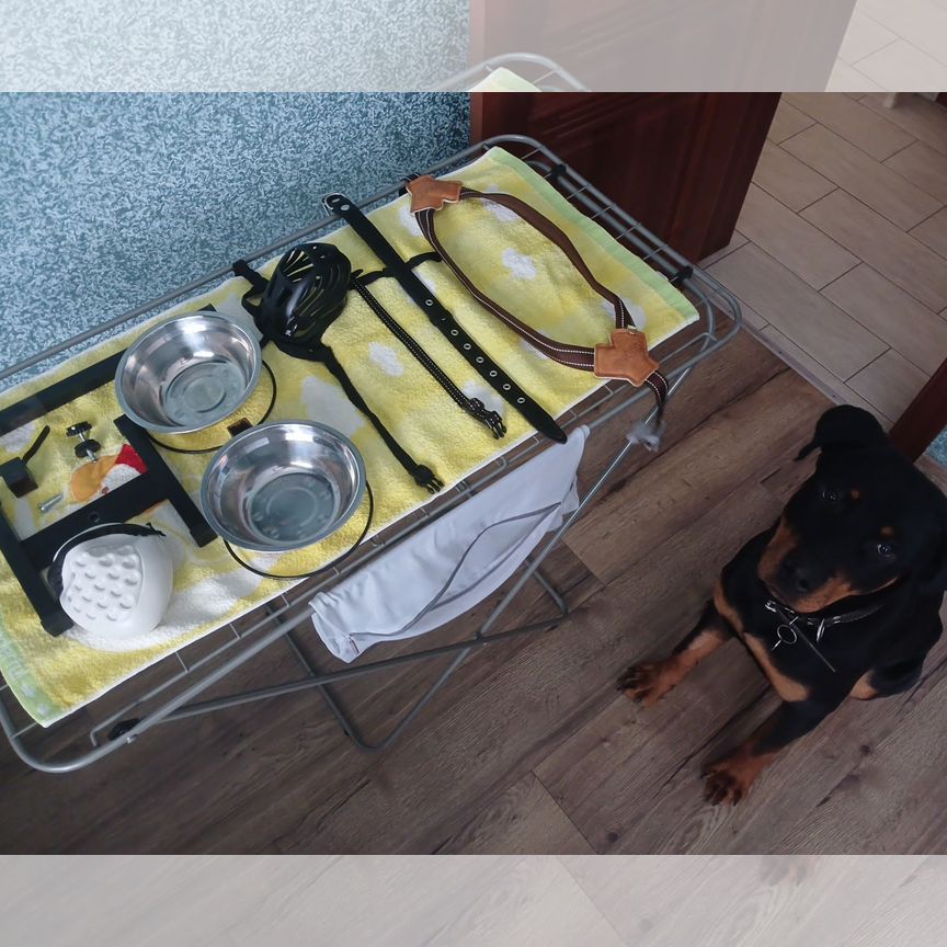 Вещи для щенка/собаки пакетом