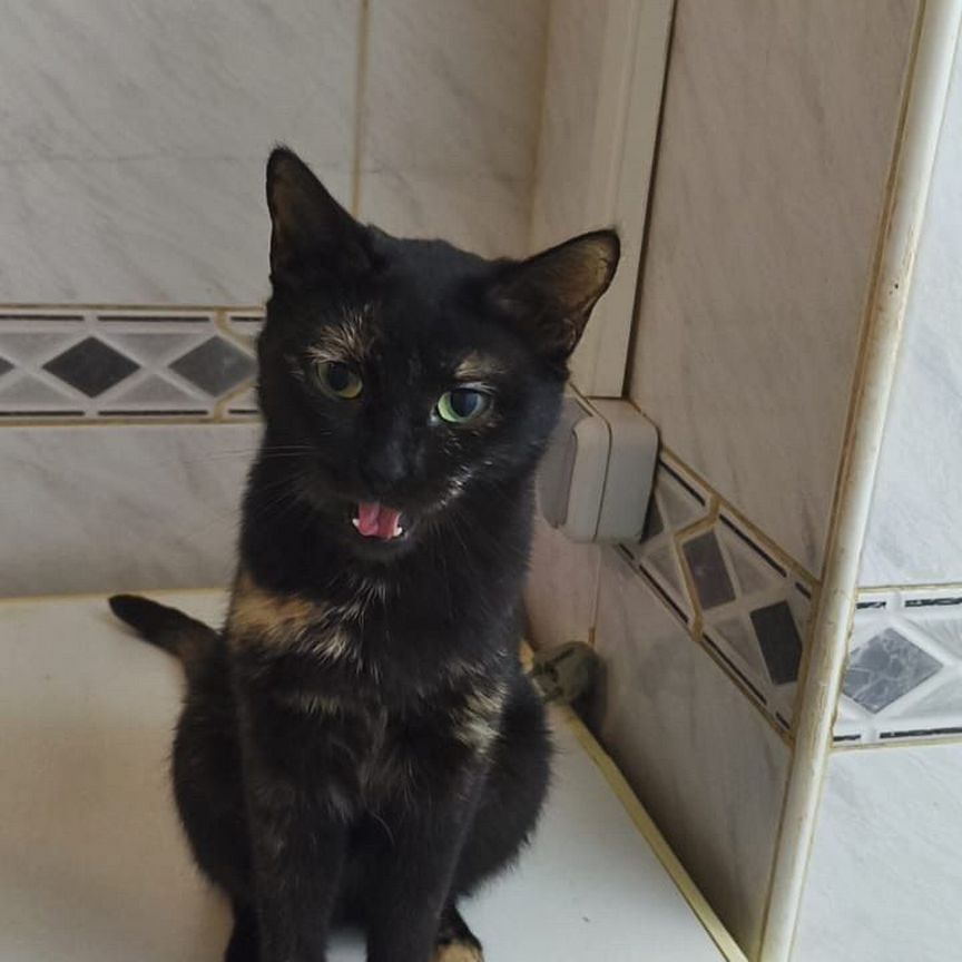 Юня ждет любящих людей