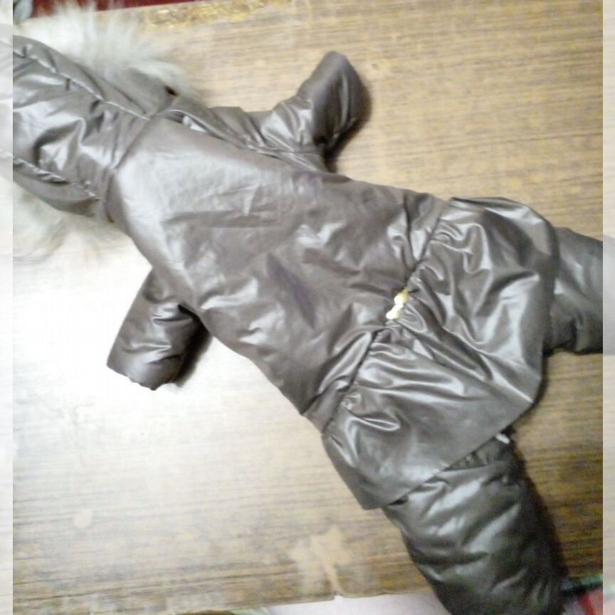 Одежда для собак