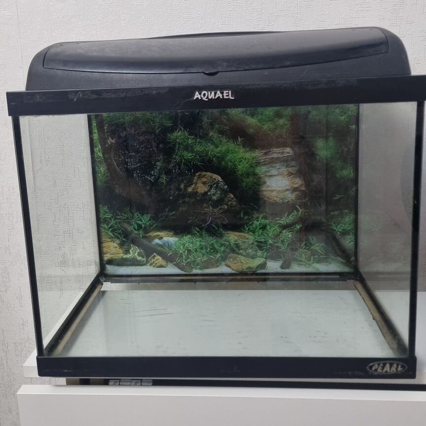 Аквариум на 60 литров