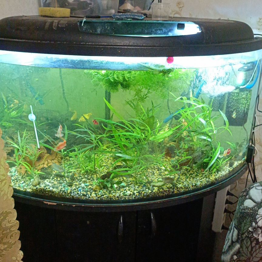 Украшения для аквариума