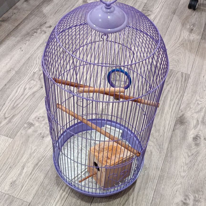 Клетка