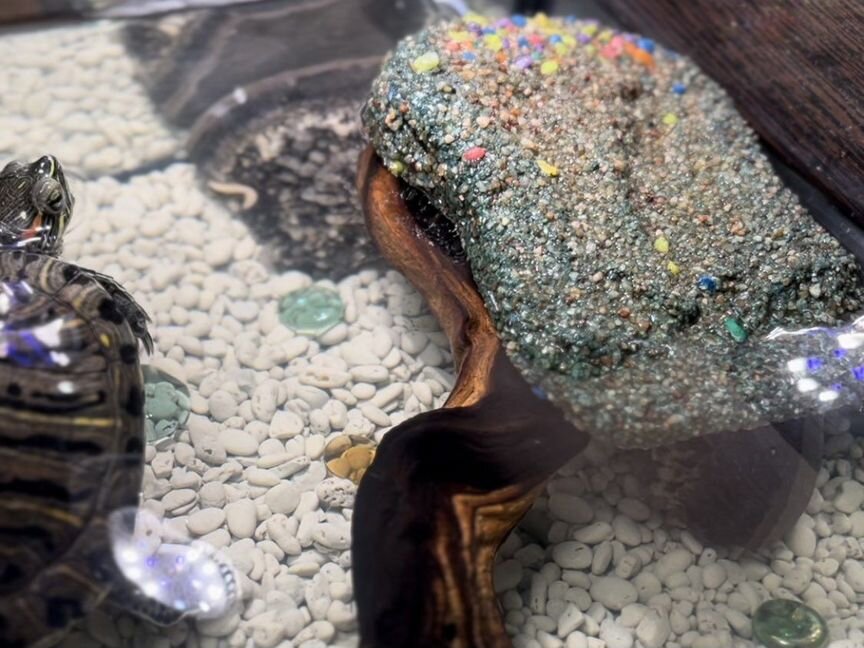 Островок для черепахи