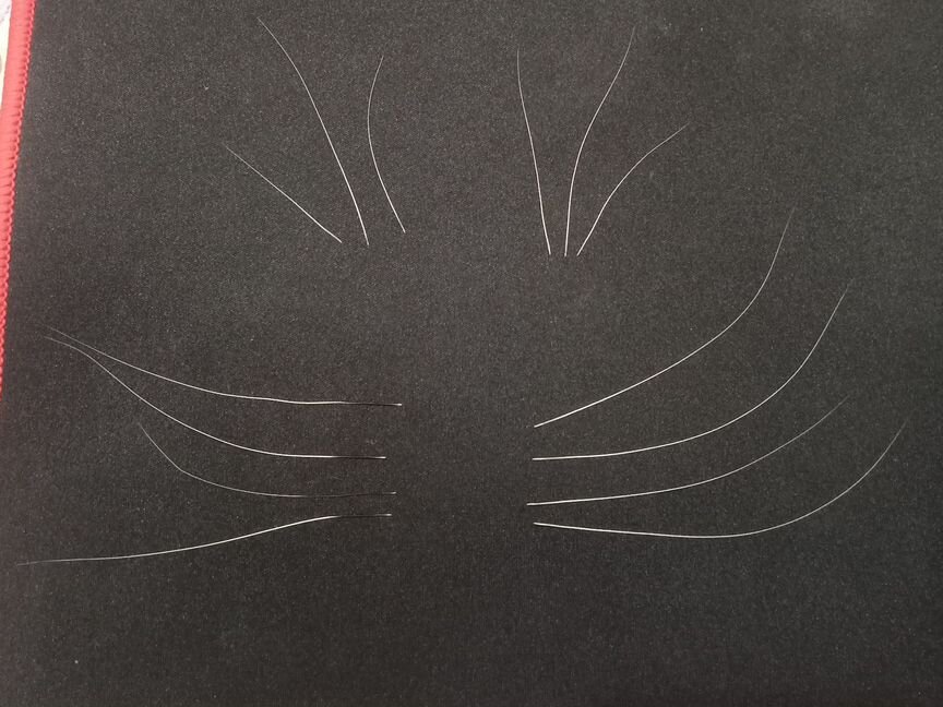 Кошачьи усы