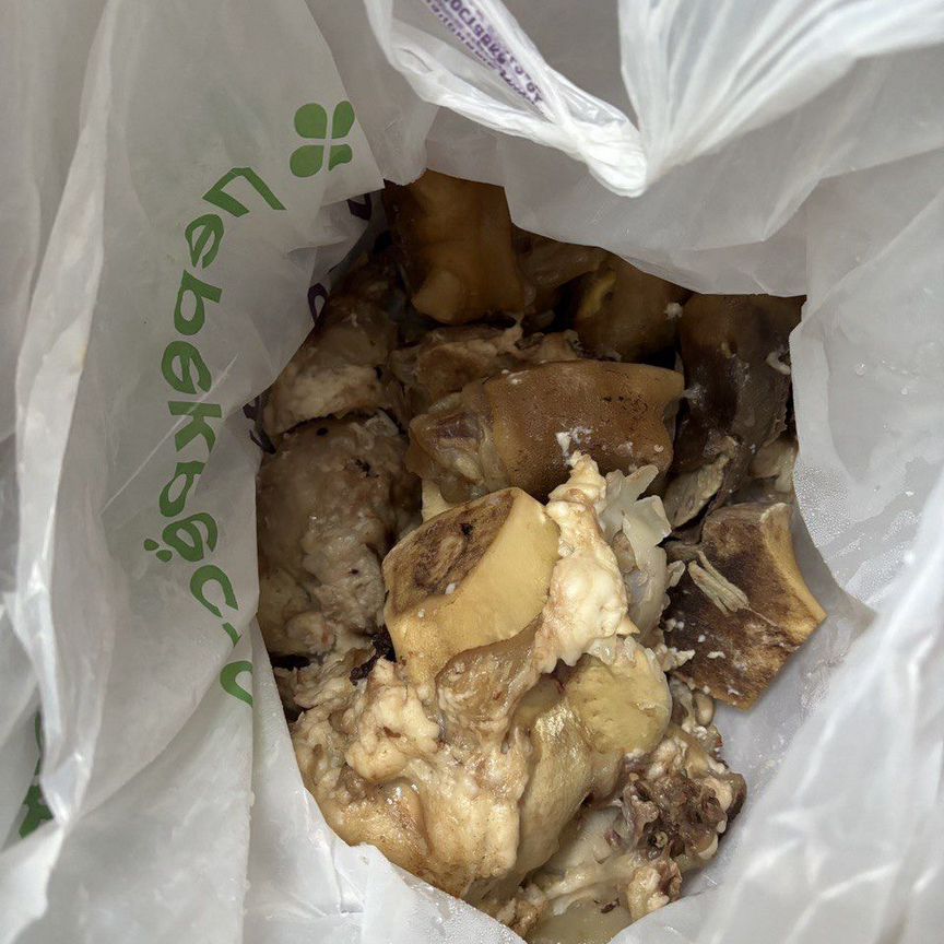 Отдам кости 5 кг