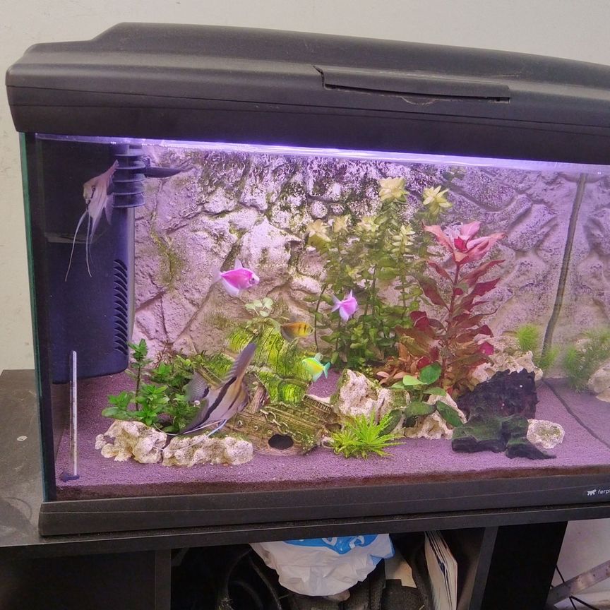 Аквариум с тумбой и рыбками