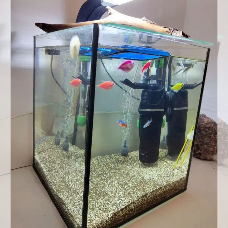 Аквариум с рыбками