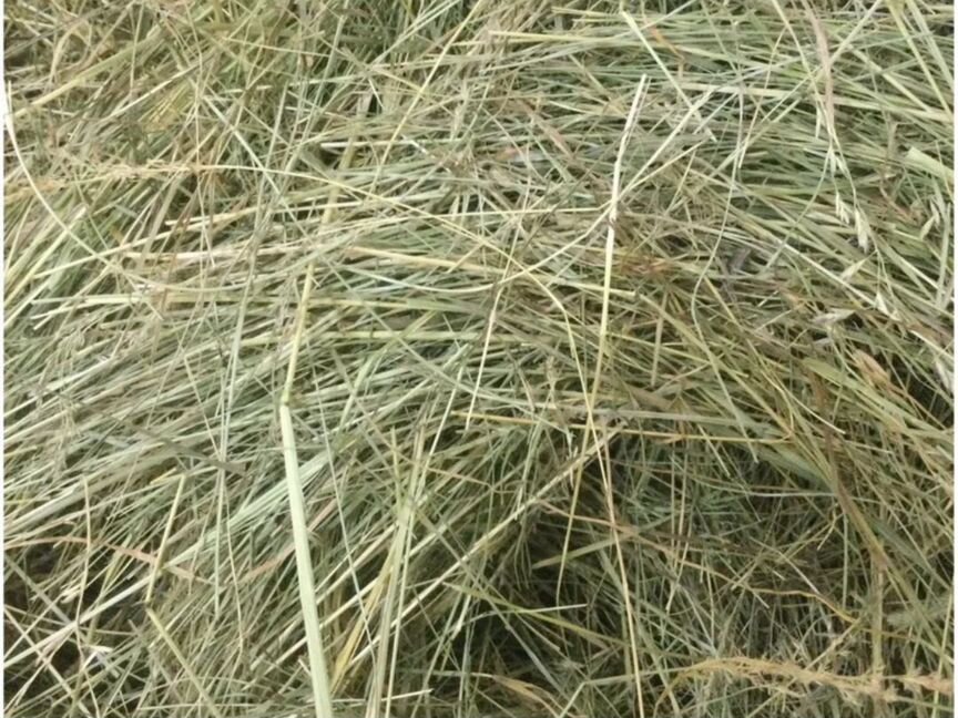 Сено в мешках