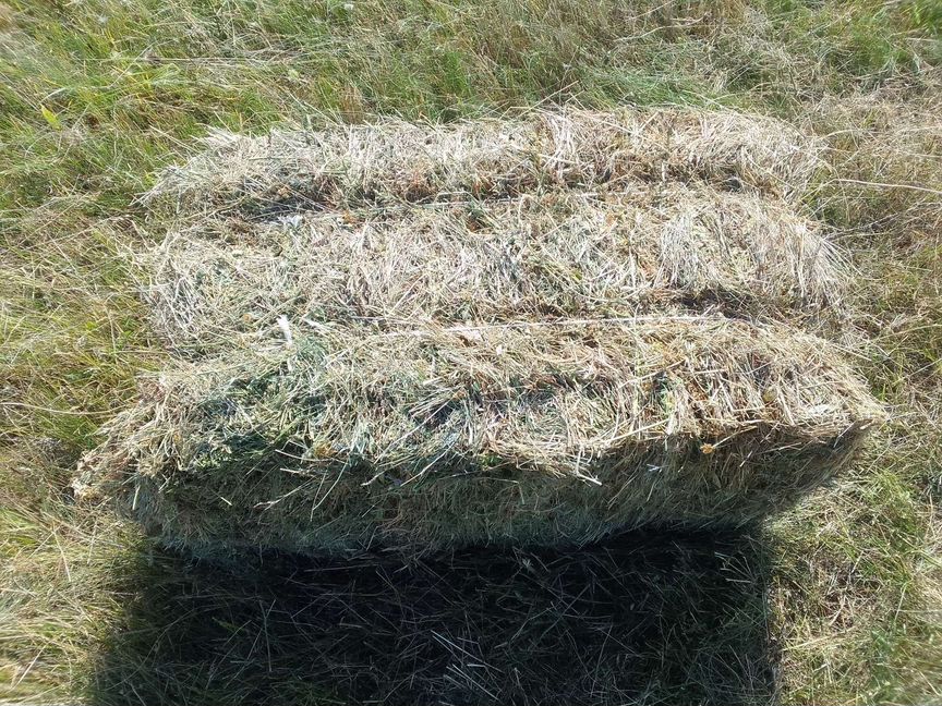 Сено в тюках и рулонах
