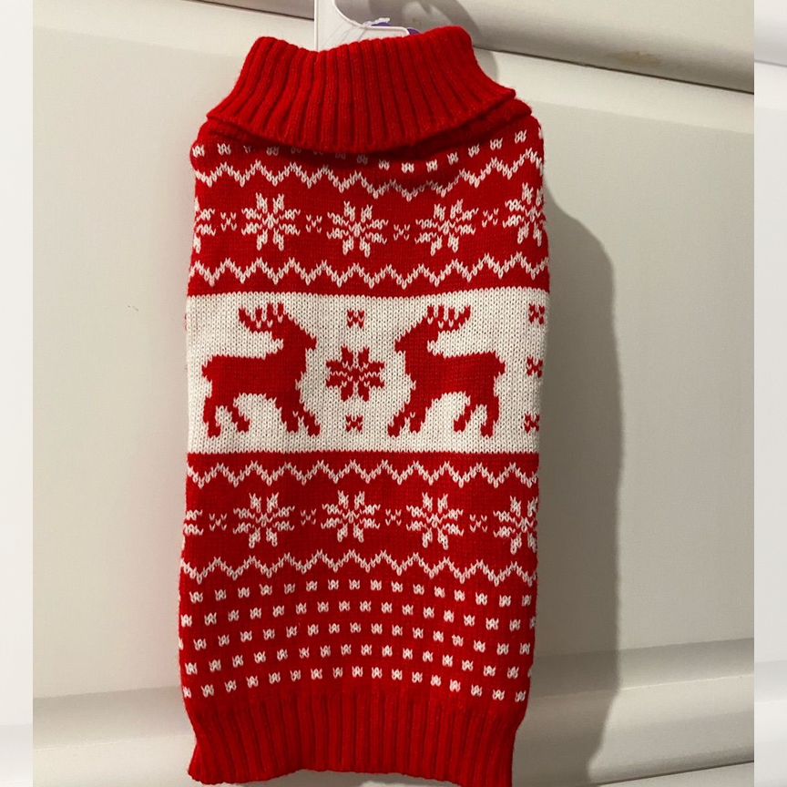 Одежда для собак