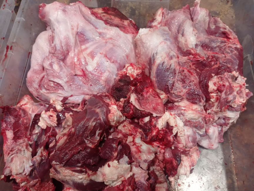 Мясо обрези для собак