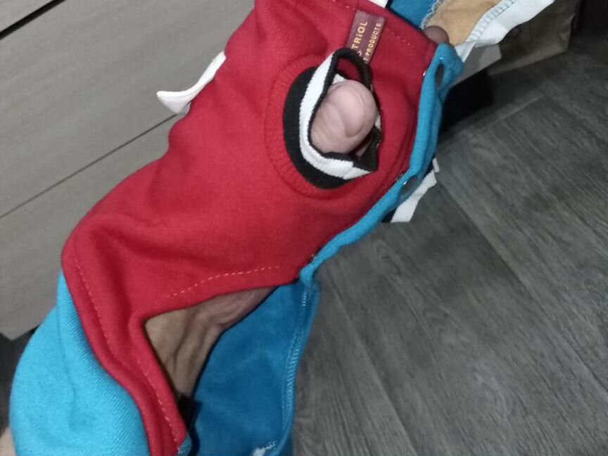Новая одежда для собак