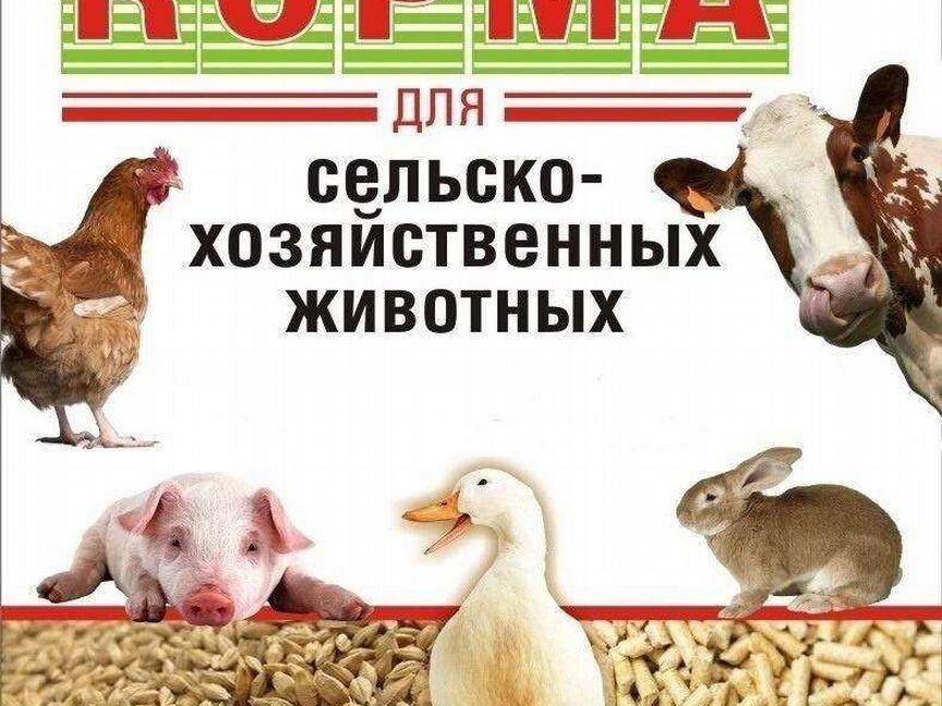 Корма для животных