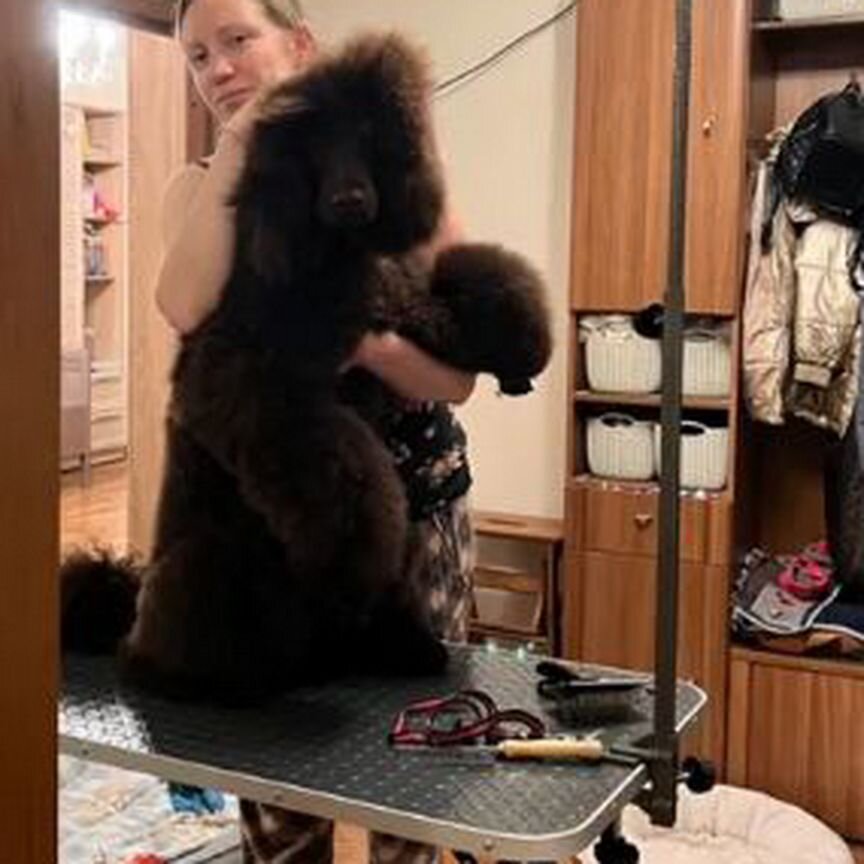 Стол для груминга больших пород