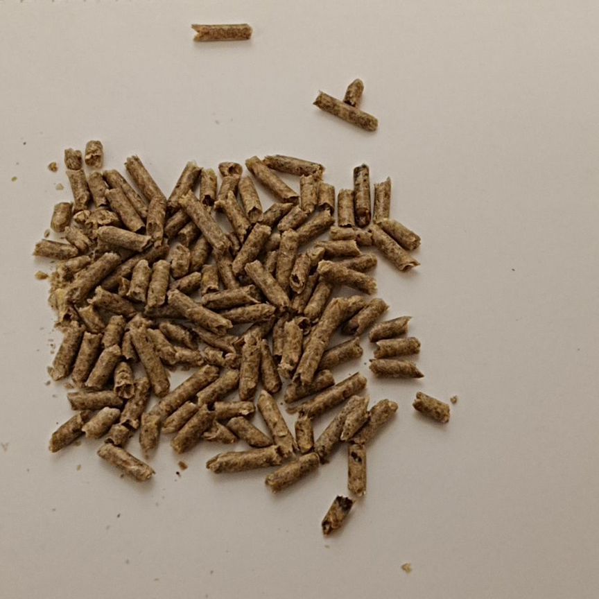 Наполнитель кошачьего туалета