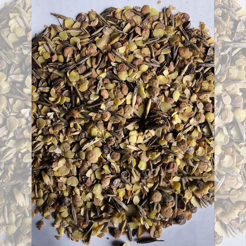 Отходы чечевицы