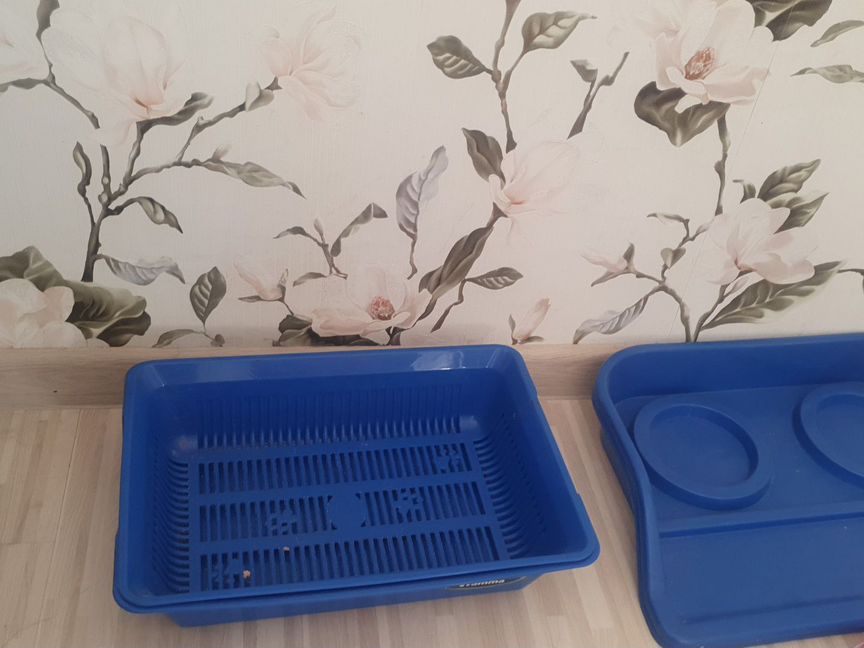 Вещи для кошек