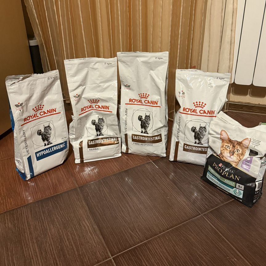 Корм для кошек royal canin