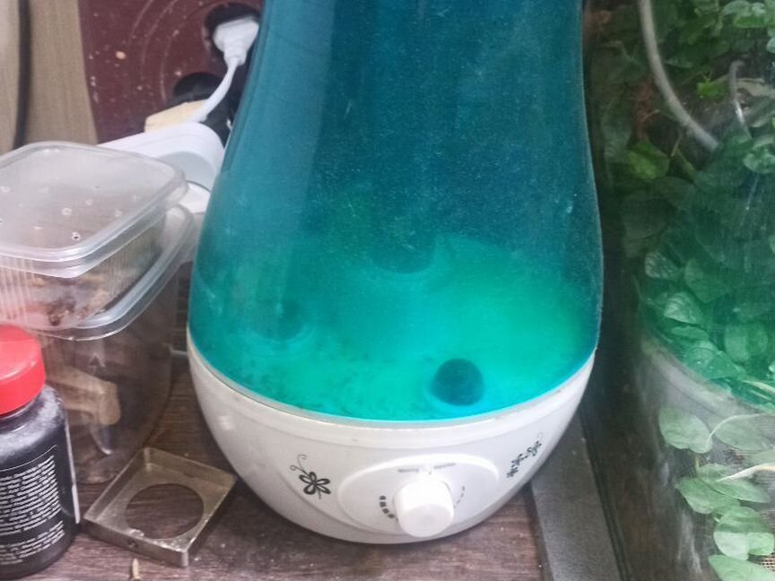 Парогенератор и другое оборудование для террариума