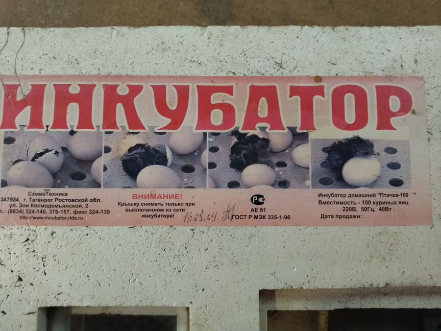 Инкубатор для яиц бу