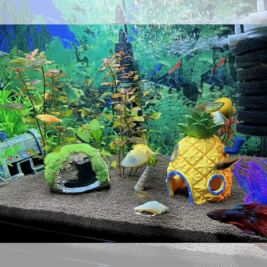 Аквариум с рыбками