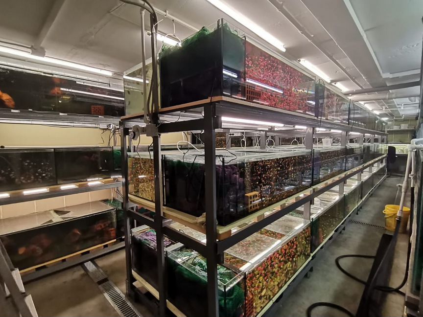 Большая разводня