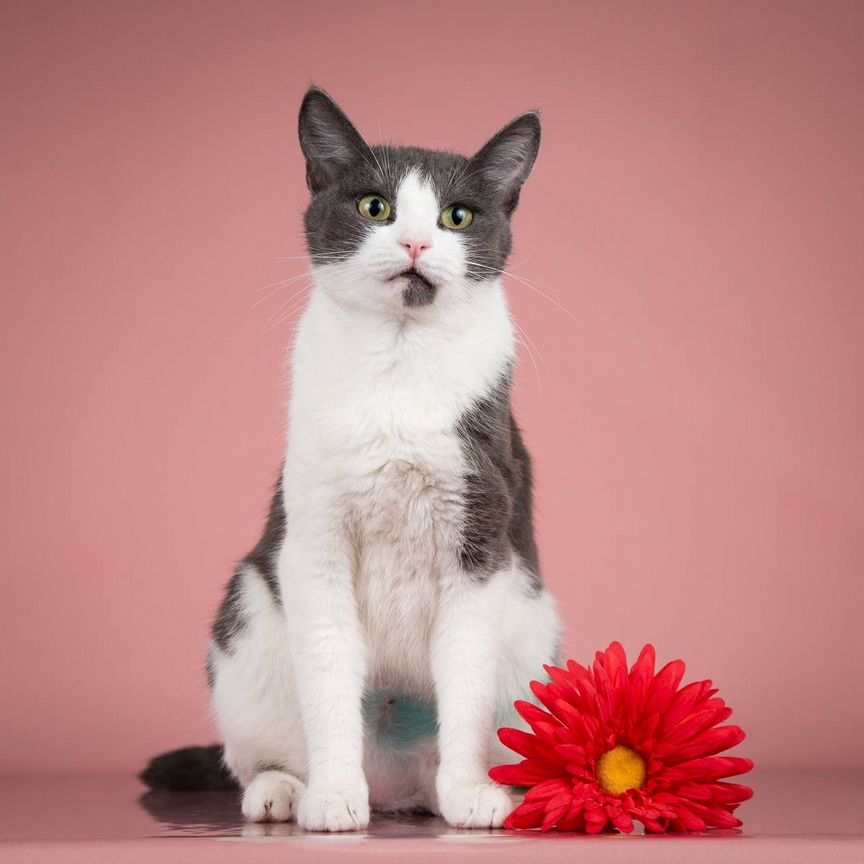 Микаэла ждет тебя