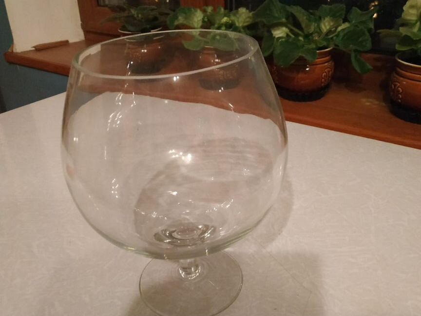 Бокал, миниаквариум