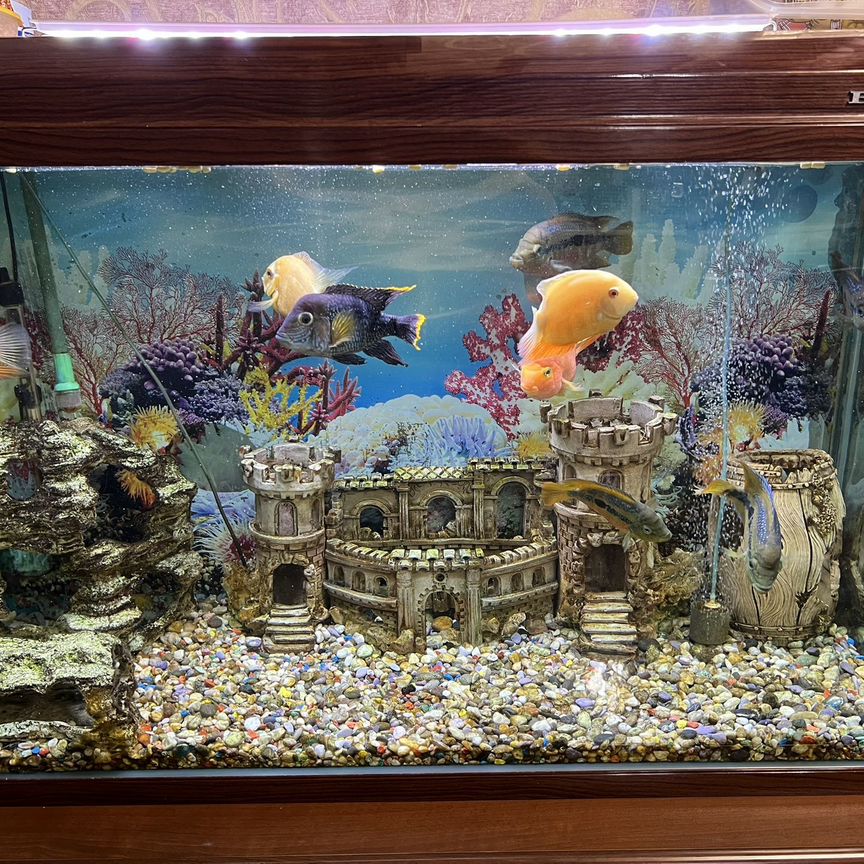 Аквариум с фильтром и рыбками