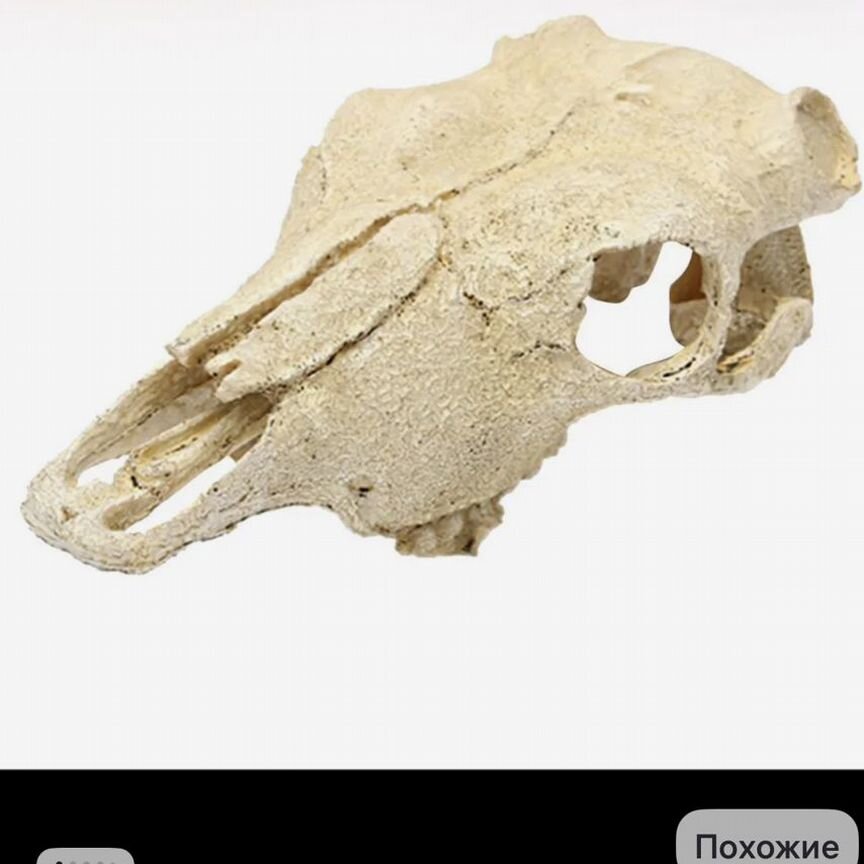 Декоративные череп для аквариума