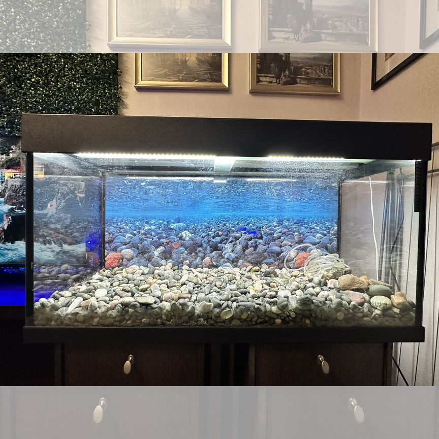 Аквариум ZelAqua 180