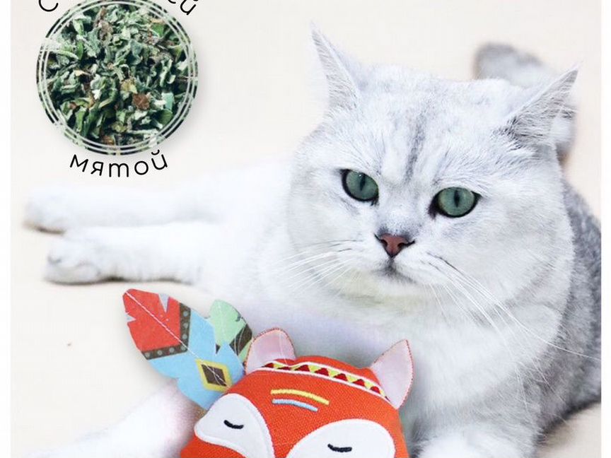 Игрушки для кошек.Новые