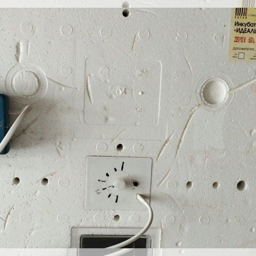 Инкубатор для яиц автоматический бу