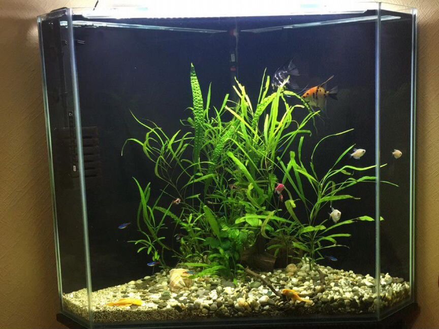 Аквариум и тумба
