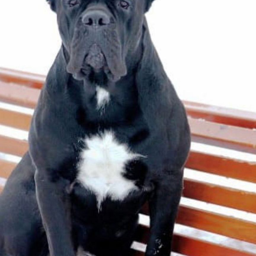 Добрые руки